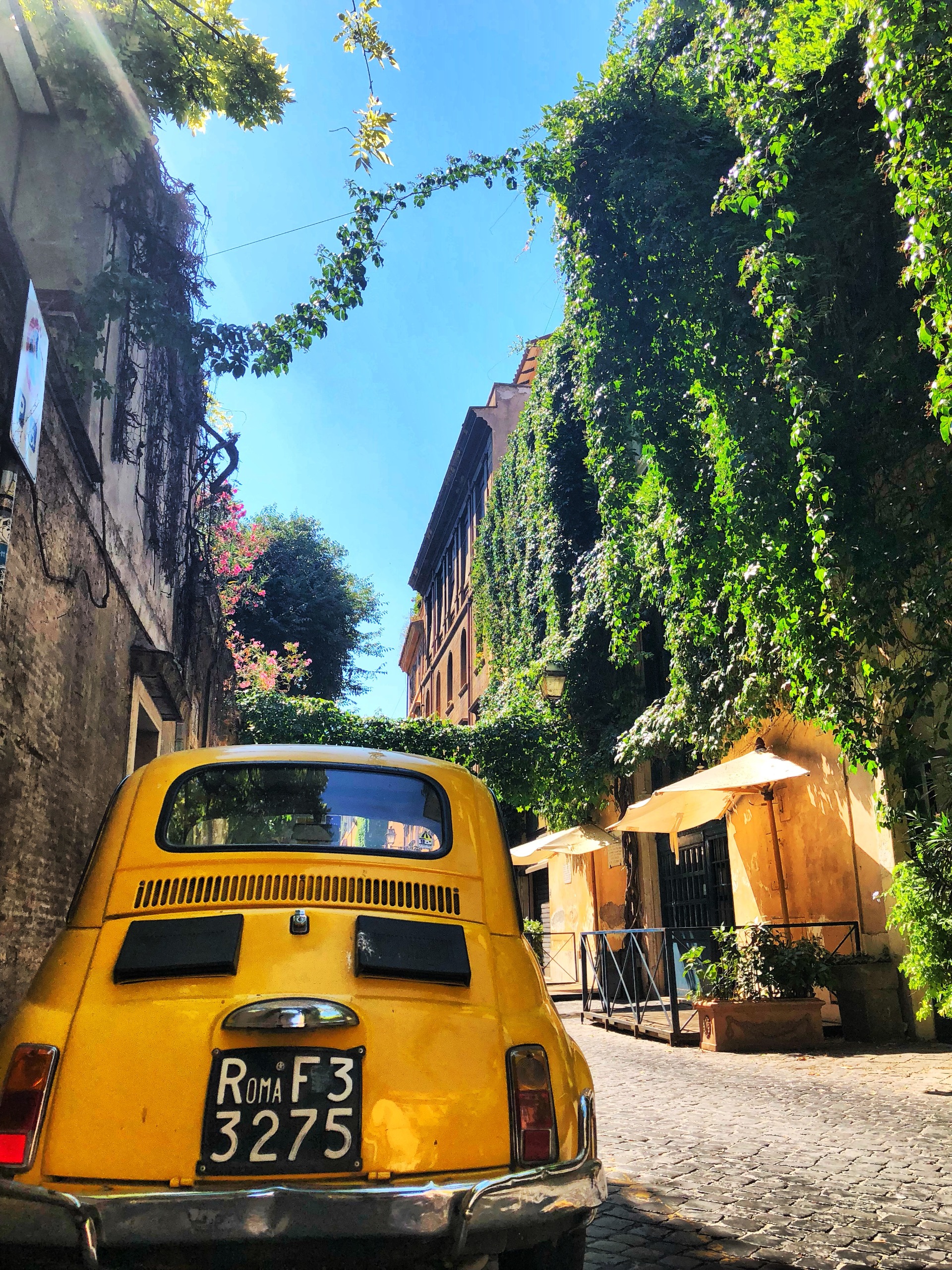 Rome, a walk in history.